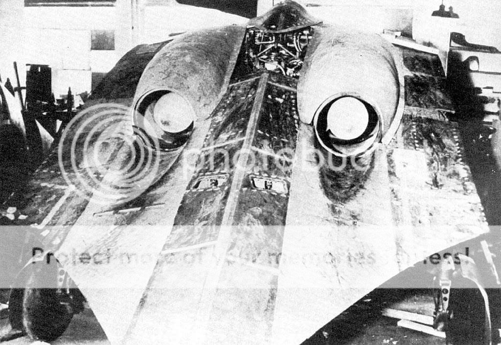 Horton Brothers Flying Wings | WW2Aircraft.net Forums