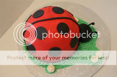 The Ladybug Express | Writer. Baker. Music Maker.