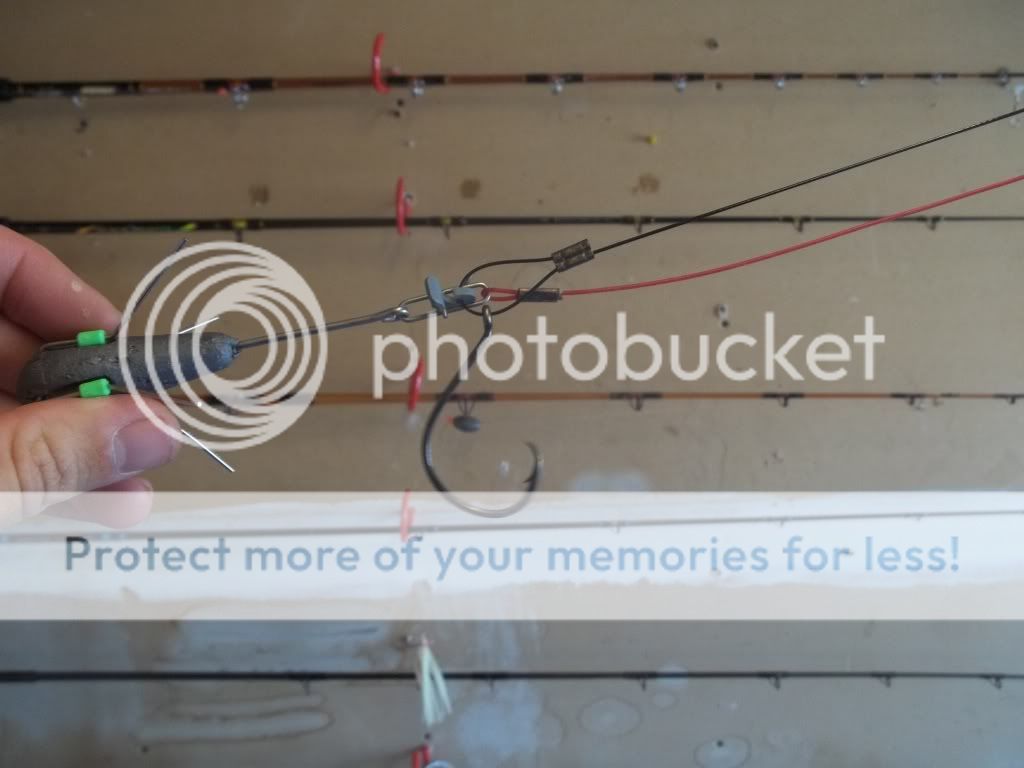 newbie shark fishing | Bloodydecks