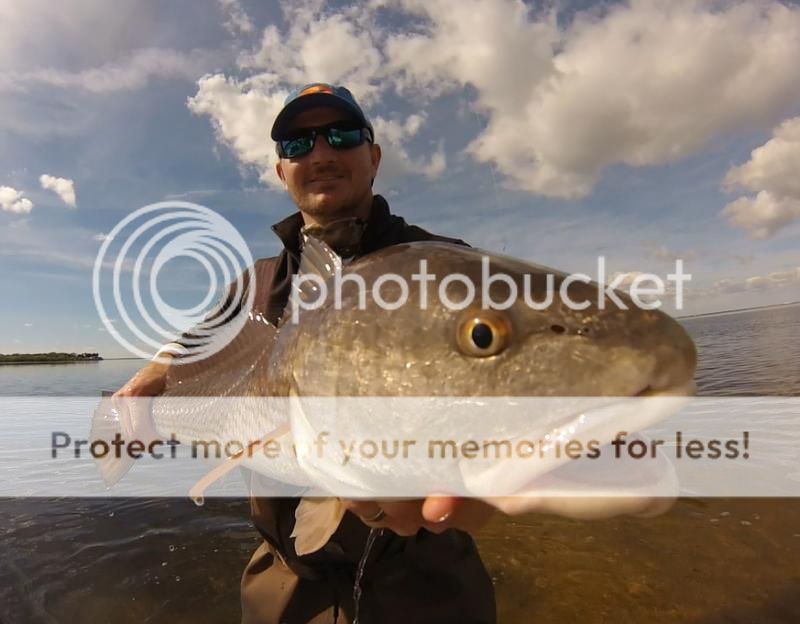 17 Ankona Native SUV for Sale | Page 2 | Dedicated To The Smallest Of ...