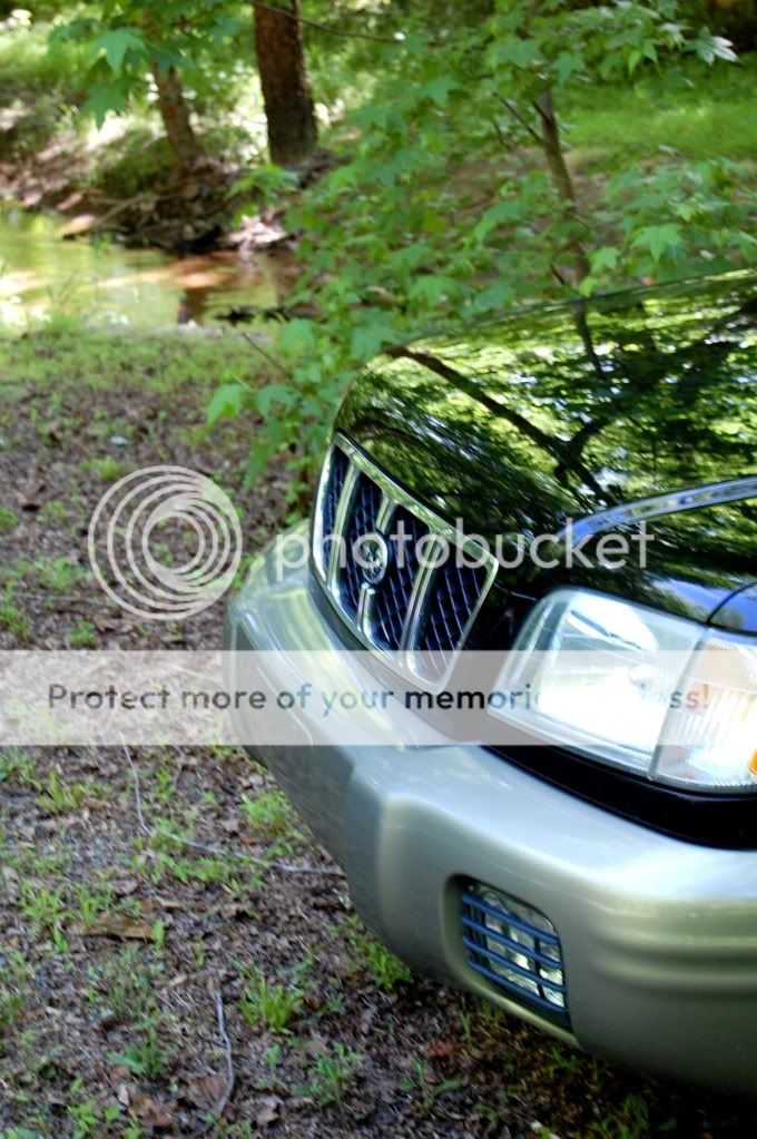 Pics of the new fozzy! | Subaru Forester Owners Forum