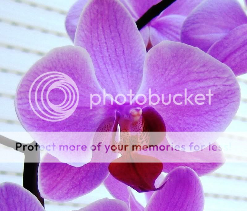 Good Morning, Everyone. - AR15.COM