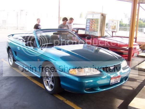 two tone paint... | SN95Forums The Only SN95 1994-2004 Dedicated Ford ...