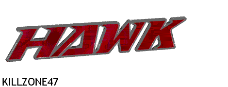 New to the forum Mn rider - Honda Hawk GT Forum