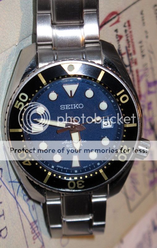 New Sumo look... | The Watch Site